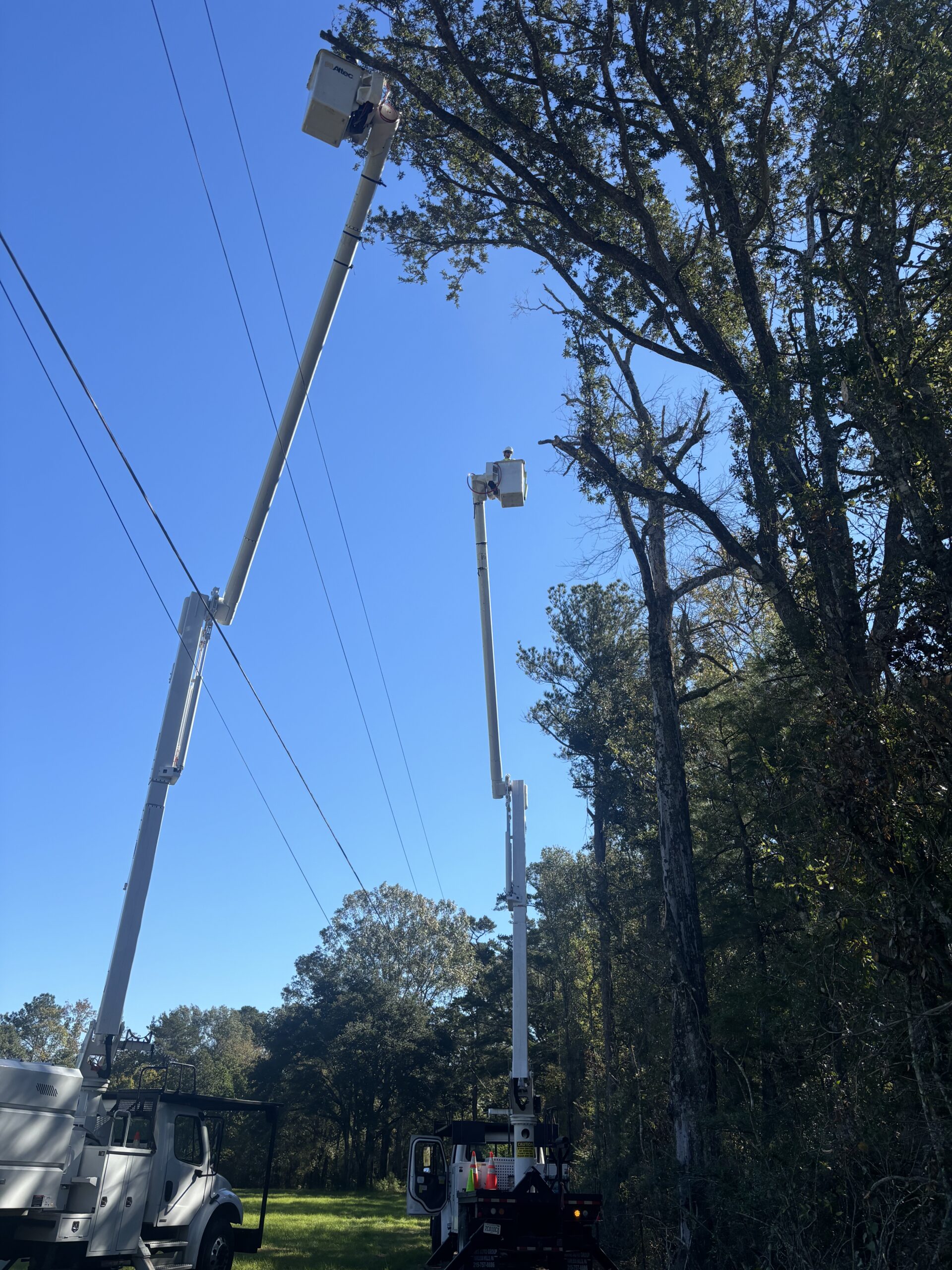 Services - RBC Vegetation Management